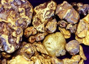 Oregon's Largest Gold Nugget is on Public Display - How to Find Gold ...