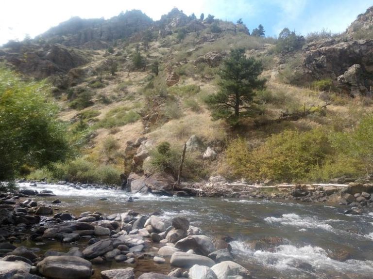 Gold Panning at Clear Creek Canyon in Colorado - How to Find Gold Nuggets